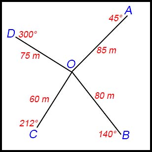 Radial surveys - TYS 1